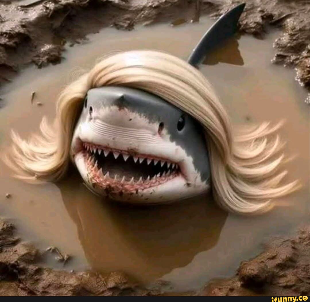 Mudshark memes. Best Collection of funny Mudshark pictures on iFunny