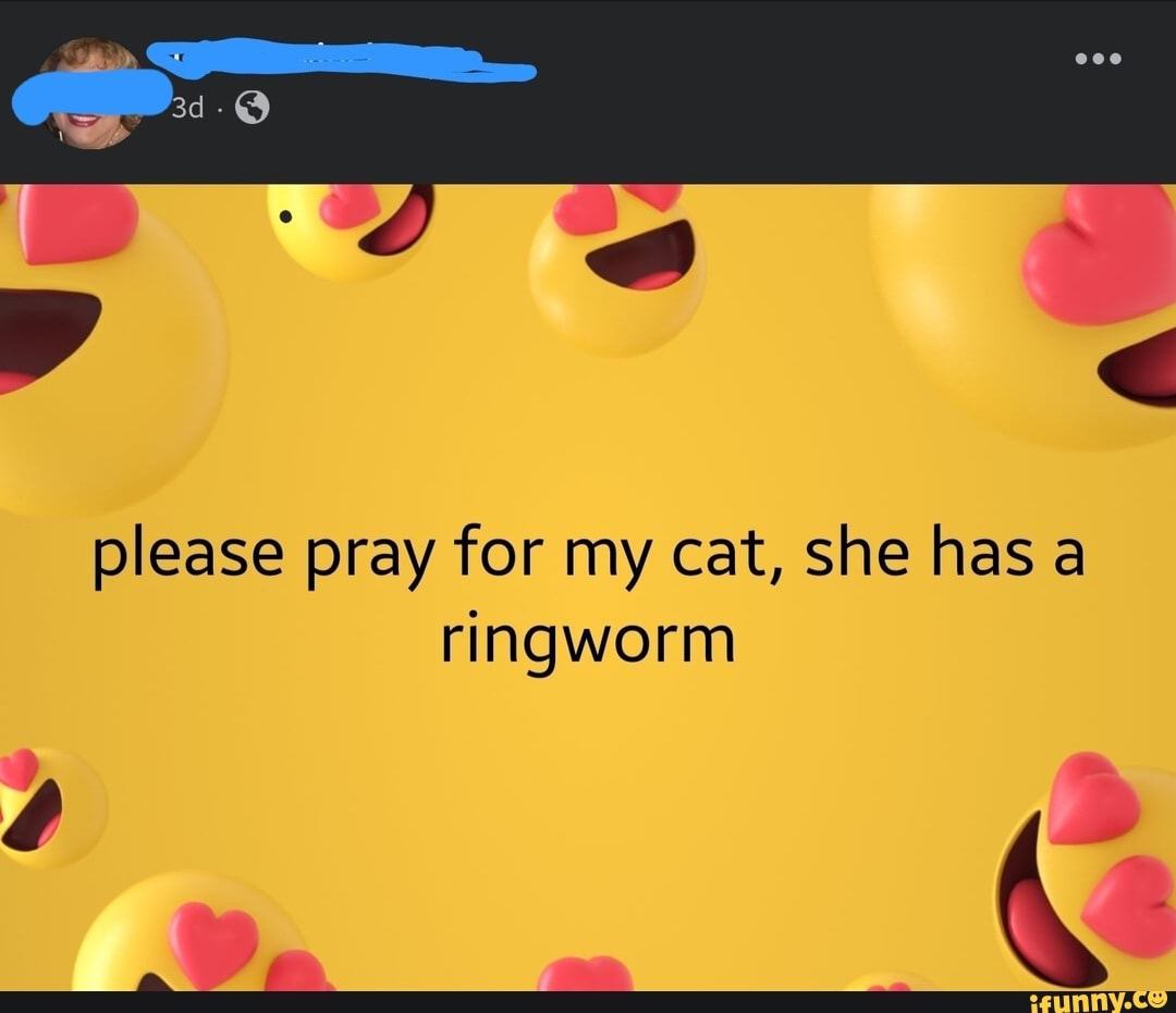 Ringworm memes. Best Collection of funny Ringworm pictures on iFunny Brazil