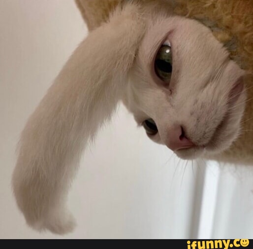 Picture memes Lg4DTpg2B by BosunBill: 46 comments - iFunny