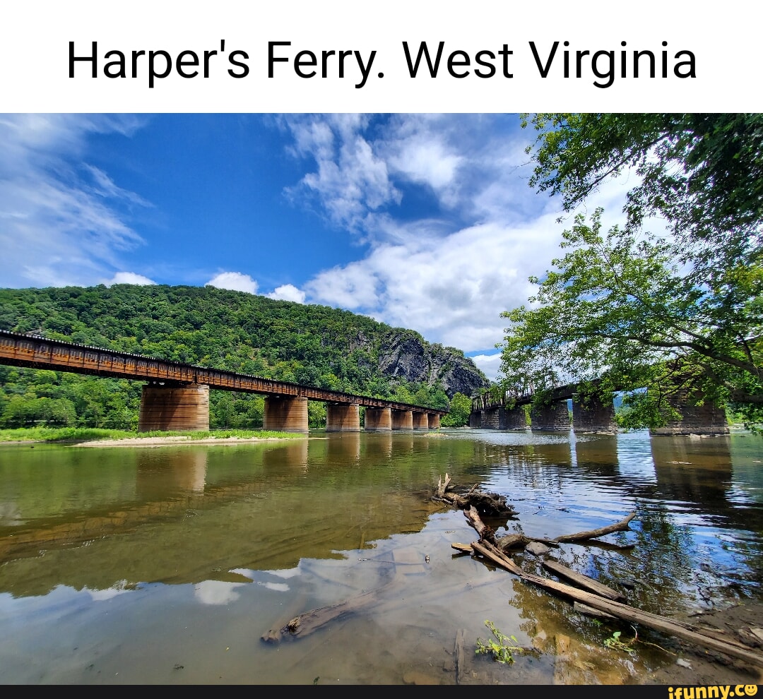 Harpers memes. Best Collection of funny Harpers pictures on iFunny