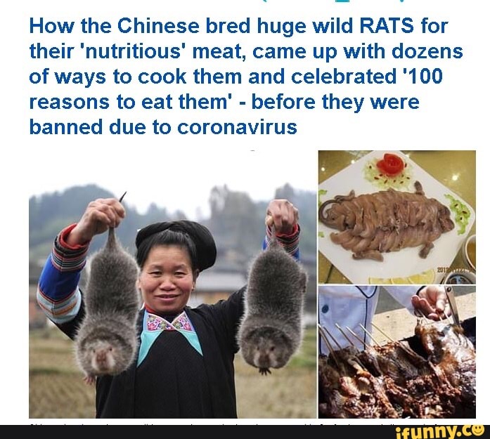 How the Chinese bred huge wild RATS for their 'nutritious' meat, came ...