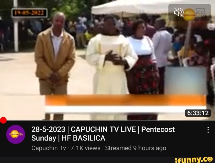 Capuchin memes. Best Collection of funny Capuchin pictures on iFunny