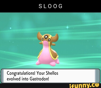 Shellos memes. Best Collection of funny Shellos pictures on iFunny