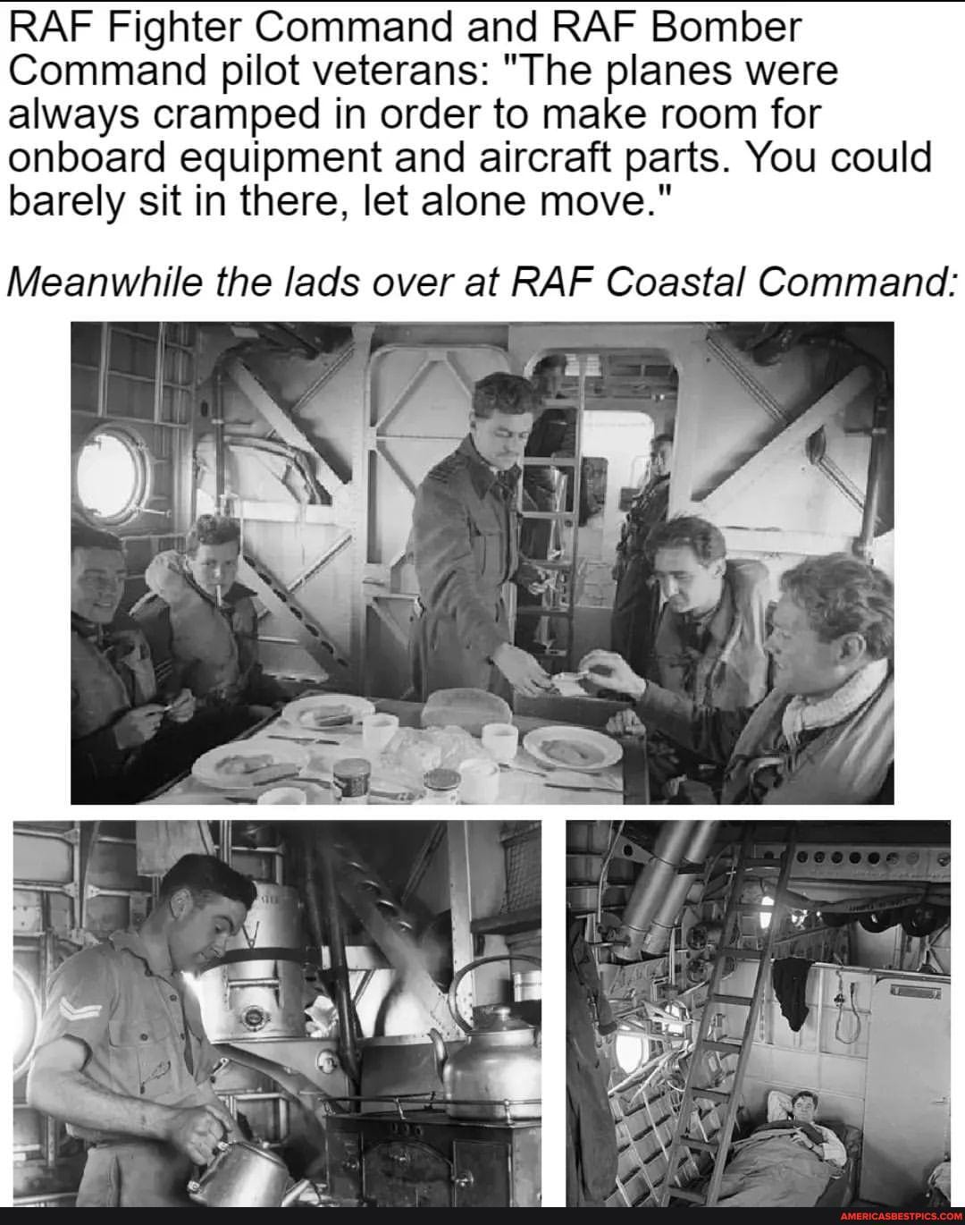 RAF Fighter Command and RAF Bomber Command pilot veterans: "The planes ...