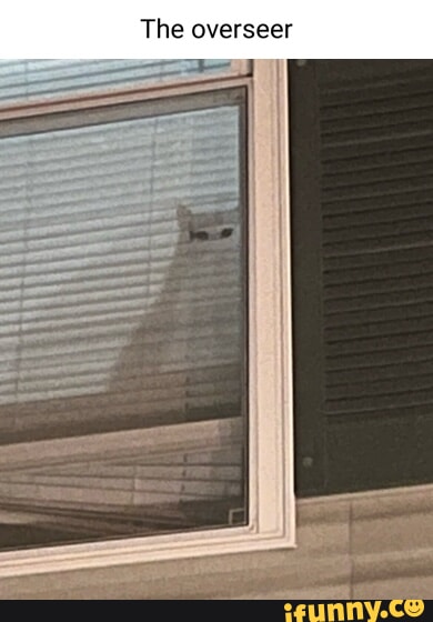 Overseer memes. Best Collection of funny Overseer pictures on iFunny