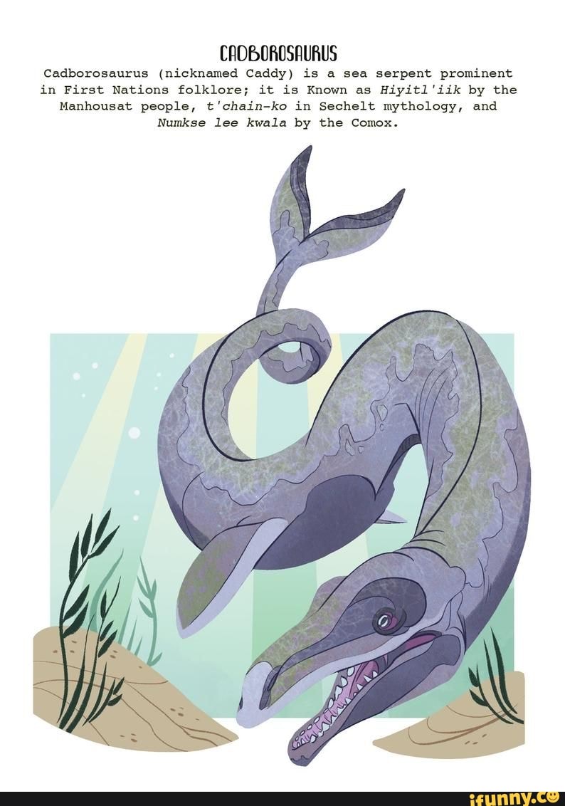 CAOBOROSAURUS Cadborosaurus (nicknamed Caddy) is a sea serpent ...