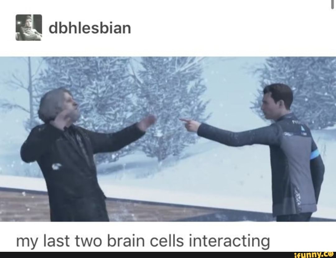 My last two brain cells interacting - iFunny