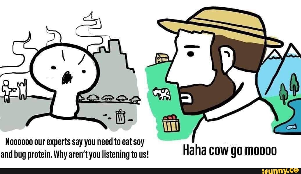 Moooo memes. Best Collection of funny Moooo pictures on iFunny