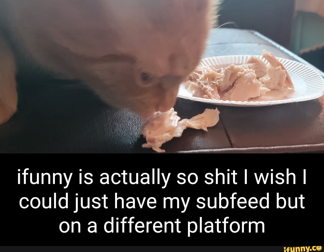 Platform memes. Best Collection of funny Platform pictures on iFunny