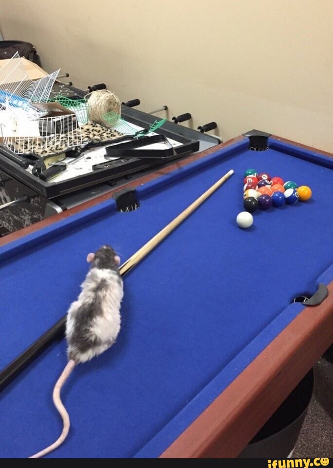 Picture memes mx4os7mGA by Nazrin: 1 comment - iFunny