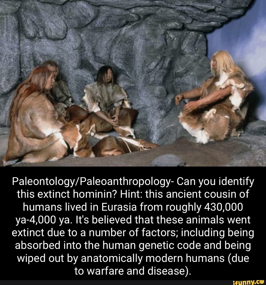 Can you identify this extinct hominin? Hint: this ancient cousin of ...