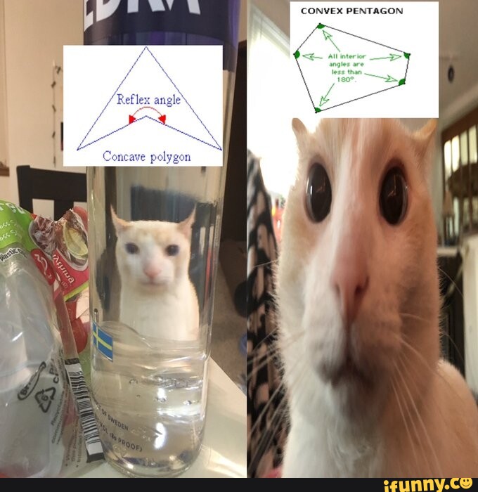 Convex memes. Best Collection of funny Convex pictures on iFunny