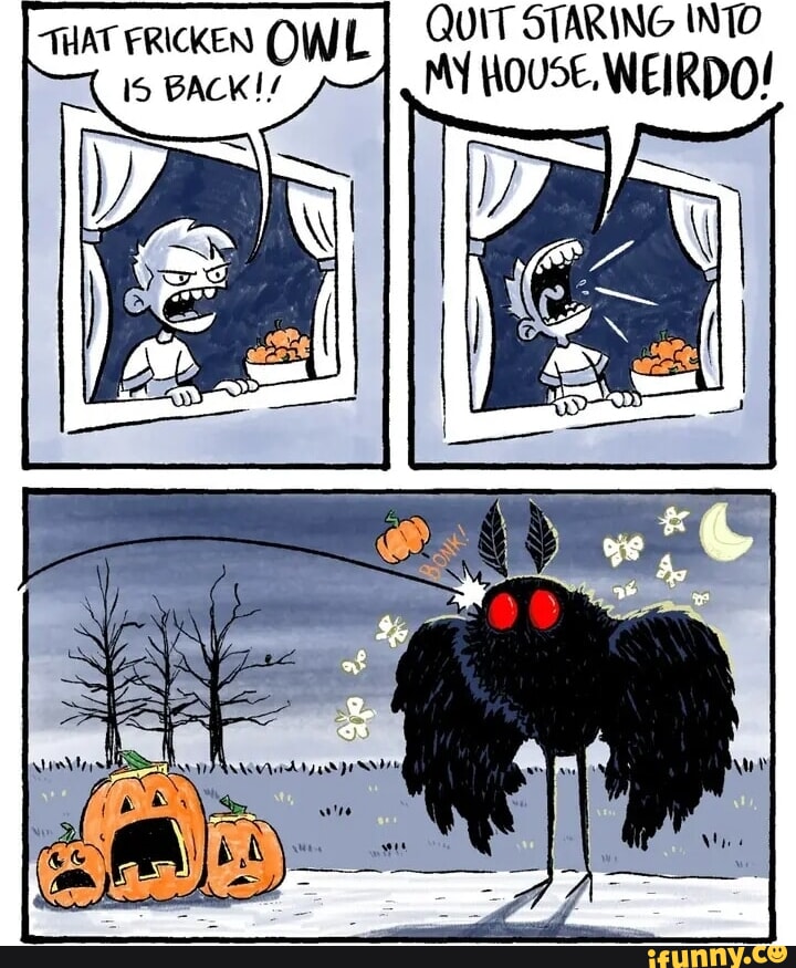 Fricken memes. Best Collection of funny Fricken pictures on iFunny