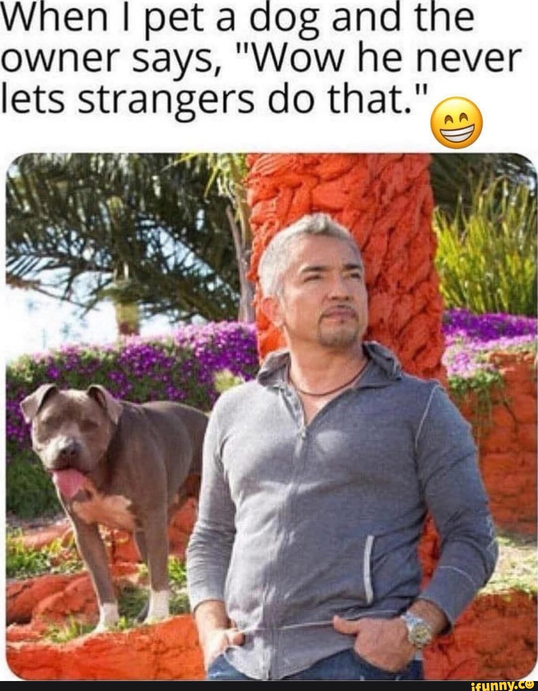 En I pet a dog ana tne owner says, "Wow he never lets strangers do that ...