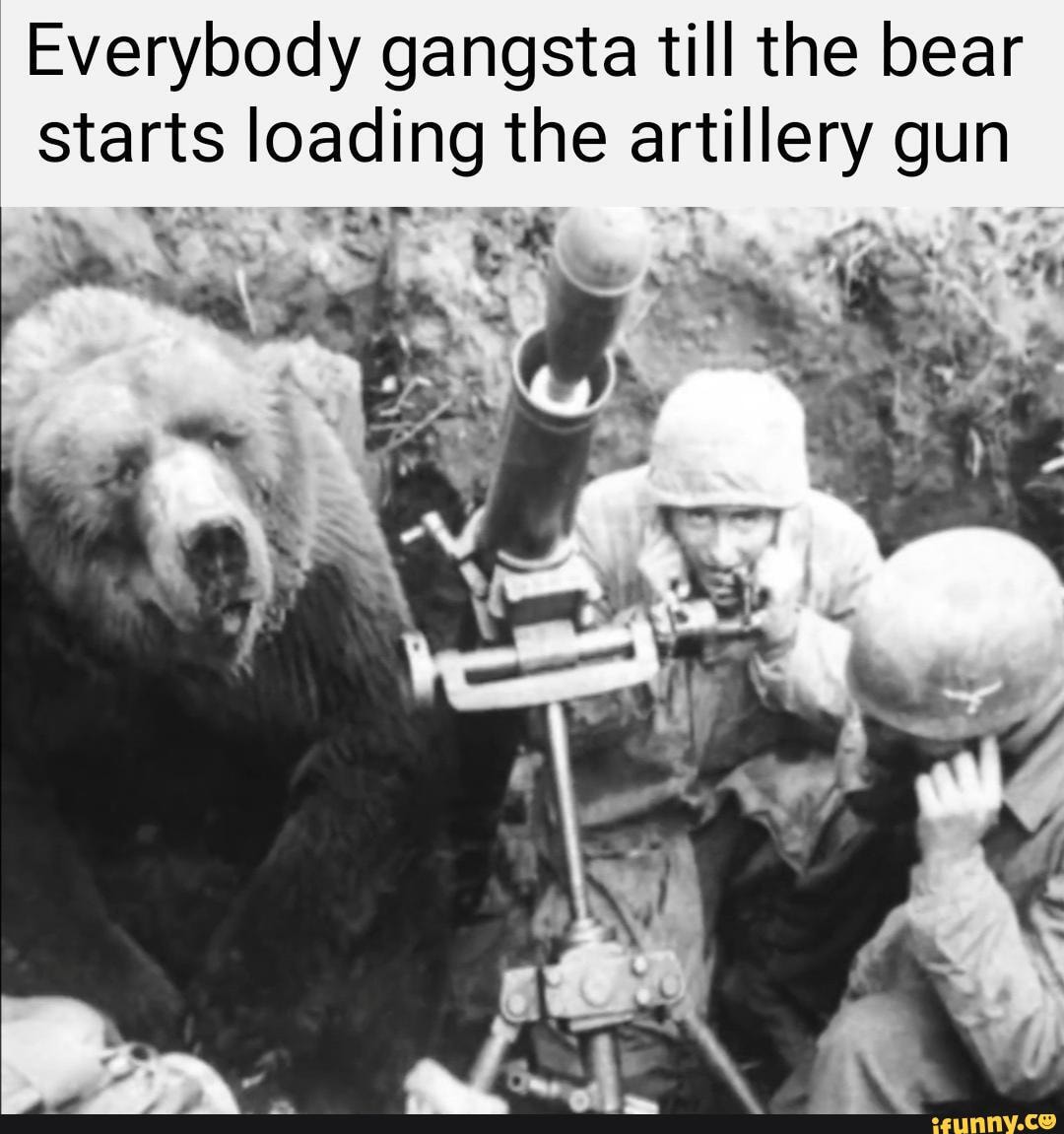 Everybody gangsta till the bear starts loading artillery gun - iFunny