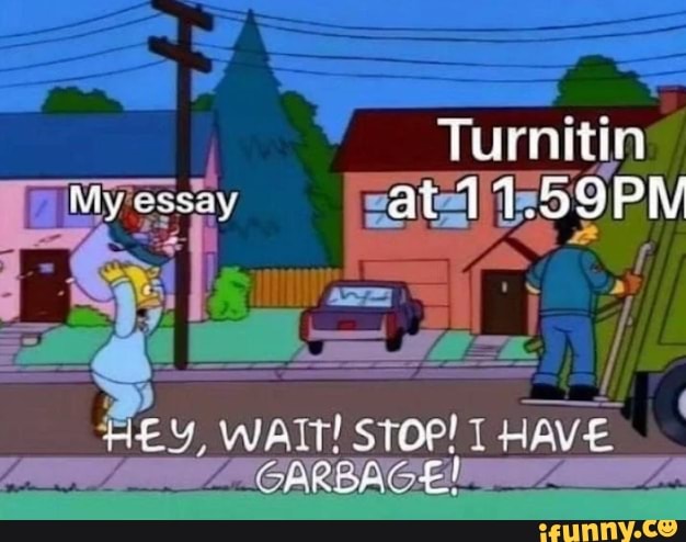 Turnitin memes. Best Collection of funny Turnitin pictures on iFunny
