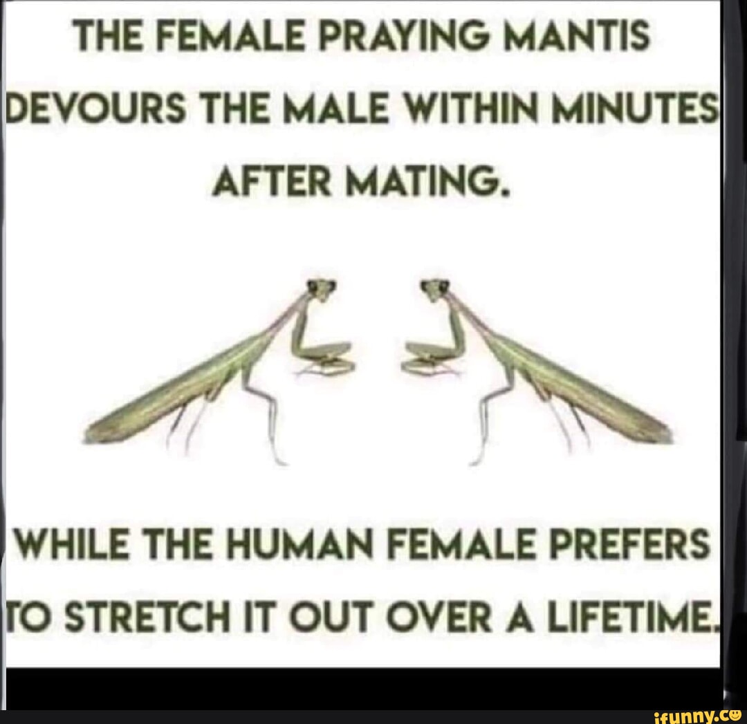 Mating memes. Best Collection of funny Mating pictures on iFunny