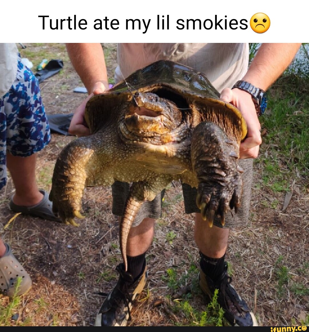 Smokies memes. Best Collection of funny Smokies pictures on iFunny