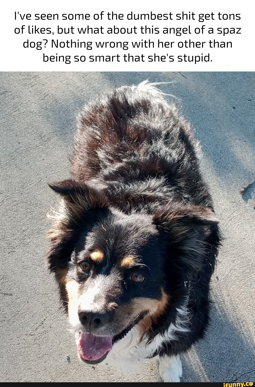 Spaz memes. Best Collection of funny Spaz pictures on iFunny