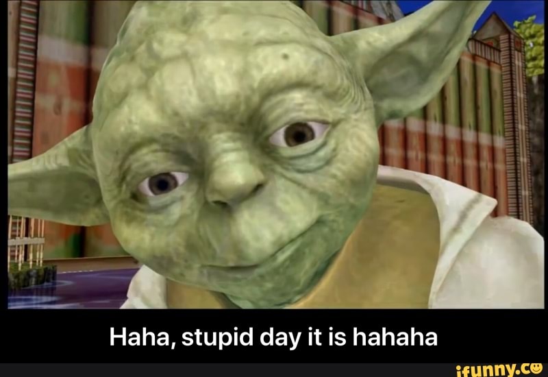 Haha, stupid day it is hahaha - Haha, stupid day it is hahaha - iFunny
