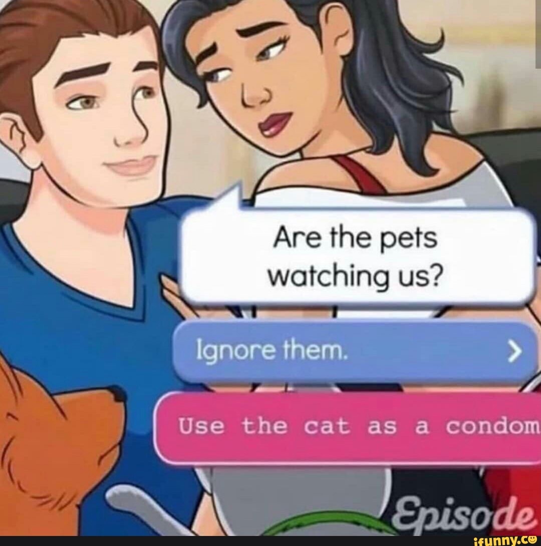 Are the pets watching us? Ignore them. I Use the cat as a condom - iFunny