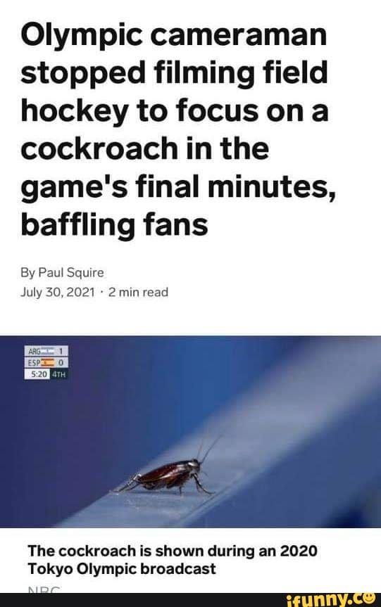 Olympic cameraman stopped filming field hockey to focus On cockroach in ...