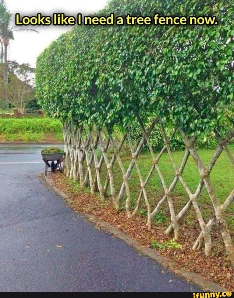 OUR EDUCATION SYSTEM @successpictures For a fair selection everybody ...