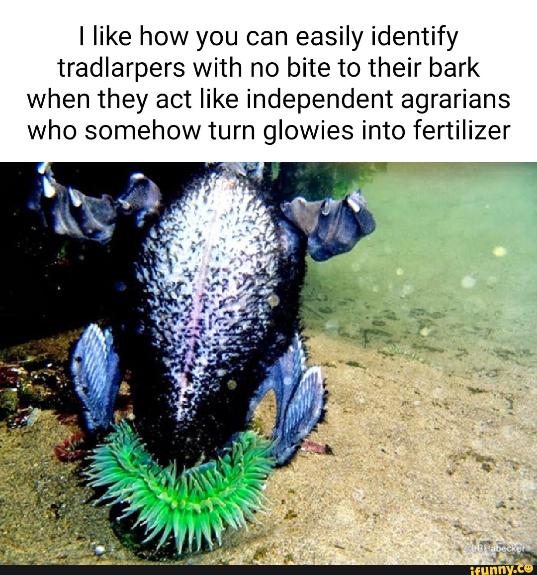 Glowies memes. Best Collection of funny Glowies pictures on iFunny