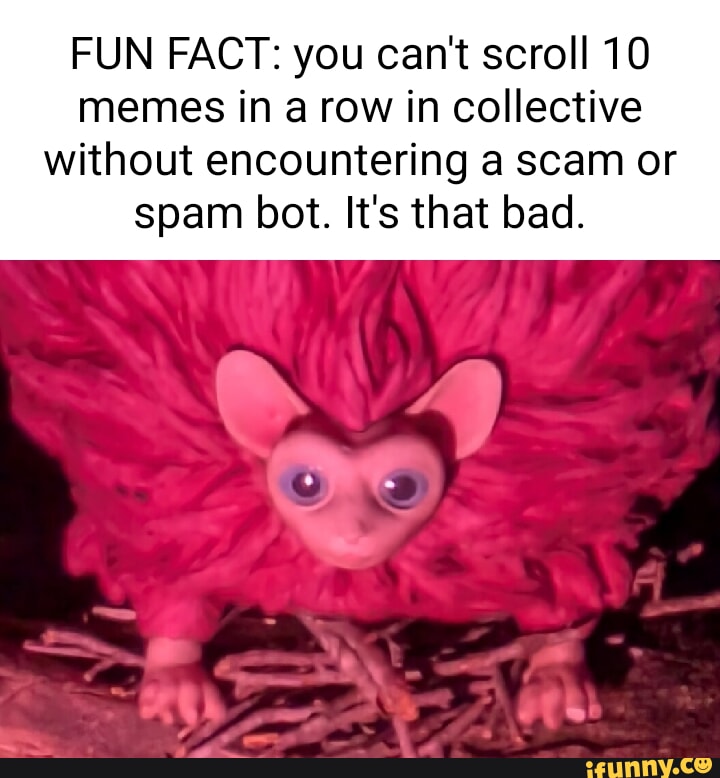FUN FACT: you can't scroll 10 memes in a row in collective without ...