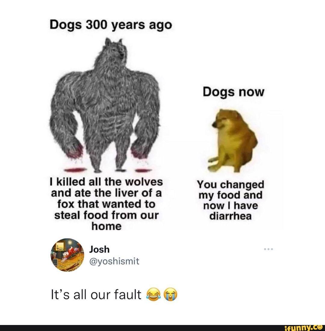 Dogs 300 years ago Dogs now killed all the wolves You changed and ate ...