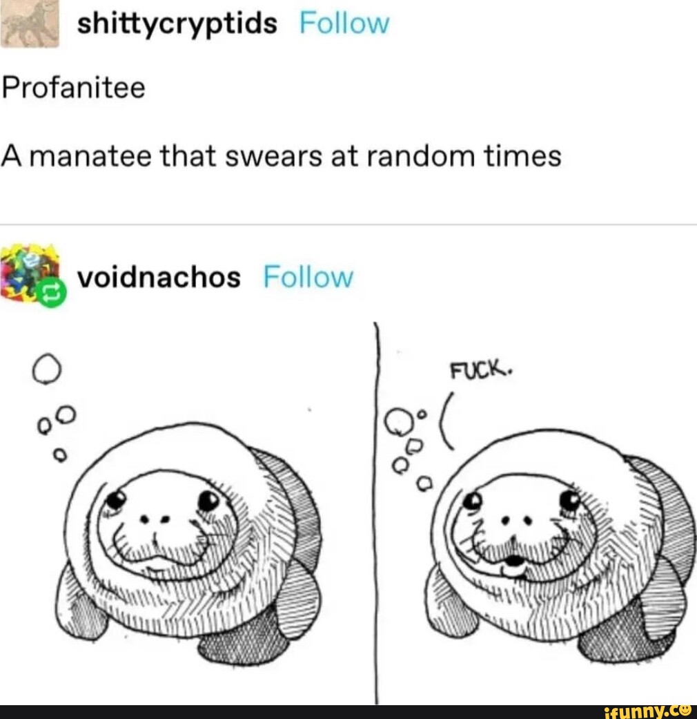 Shittycryptids Follow Profanitee A manatee that swears at random times ...