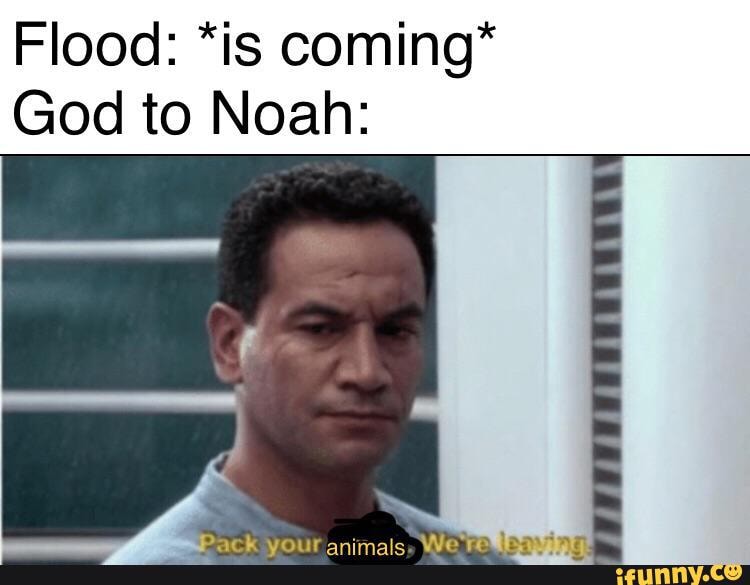Flood: *is coming* God to Noah: - iFunny