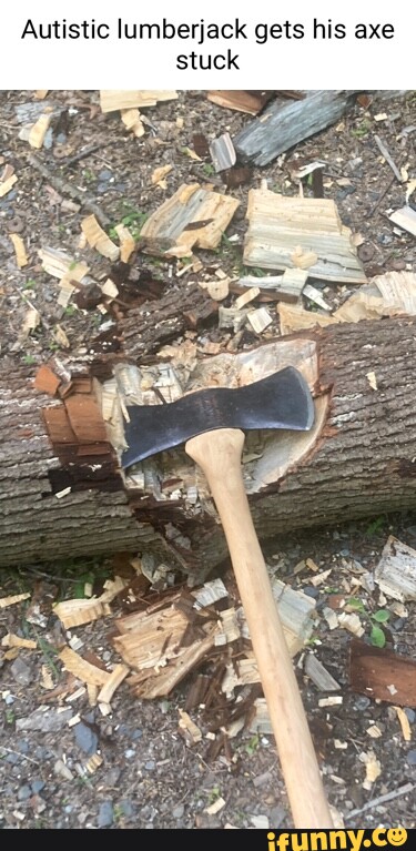 Lumberjack memes. Best Collection of funny Lumberjack pictures on iFunny