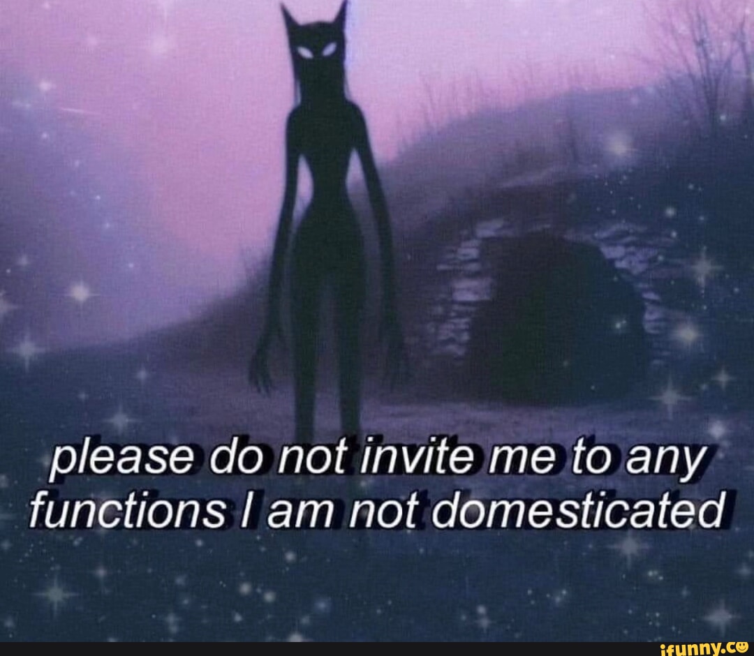 Domesticated memes. Best Collection of funny Domesticated pictures on ...