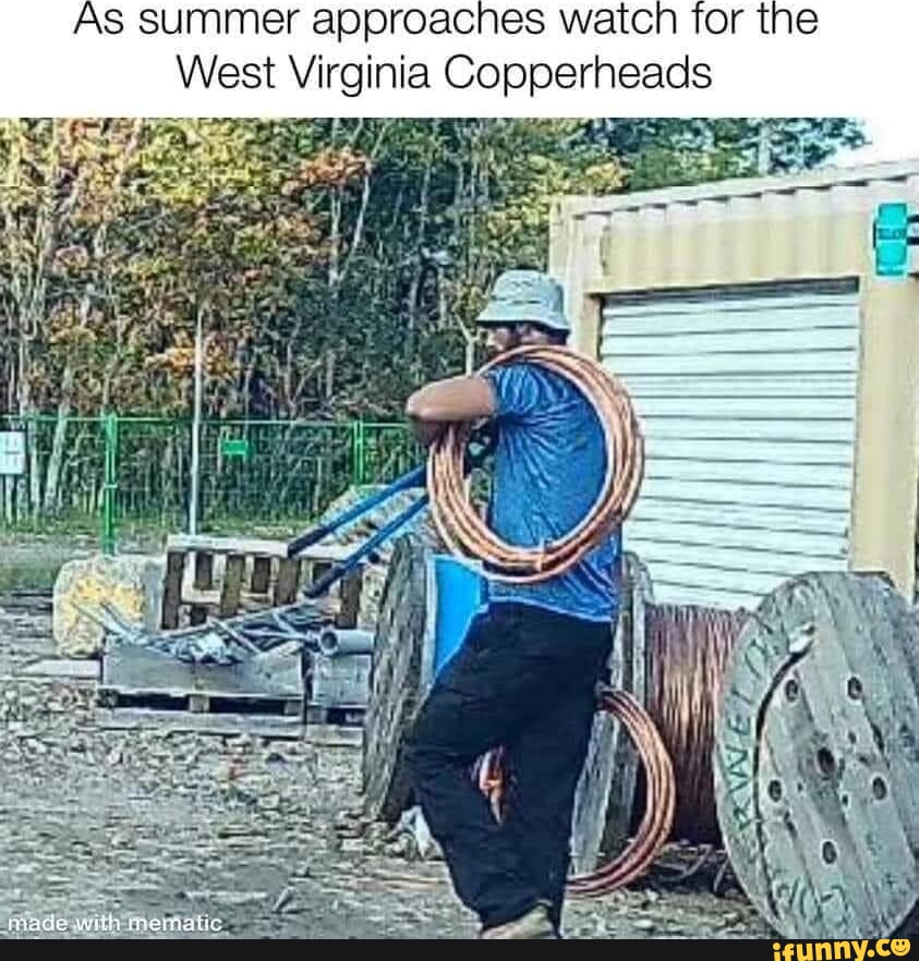 Copperheads memes. Best Collection of funny Copperheads pictures on iFunny