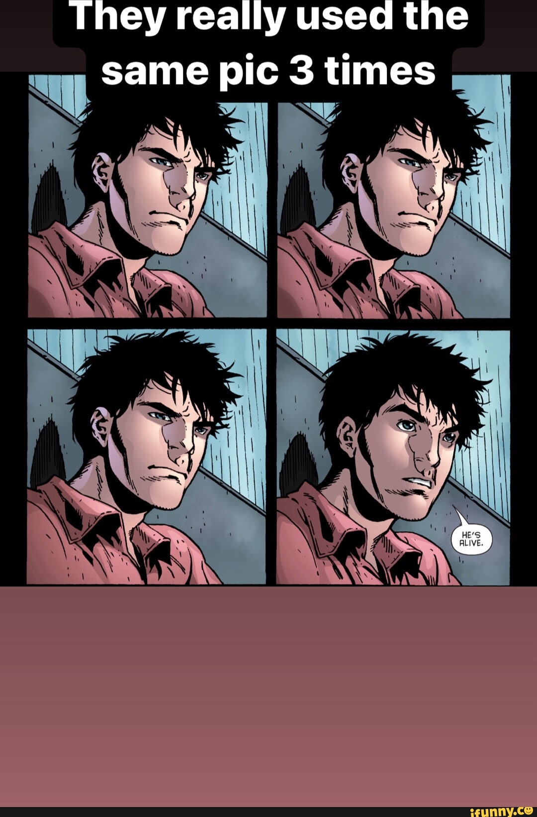 This rare orchid known as the "flower of the Holy Spirit" only blooms ...