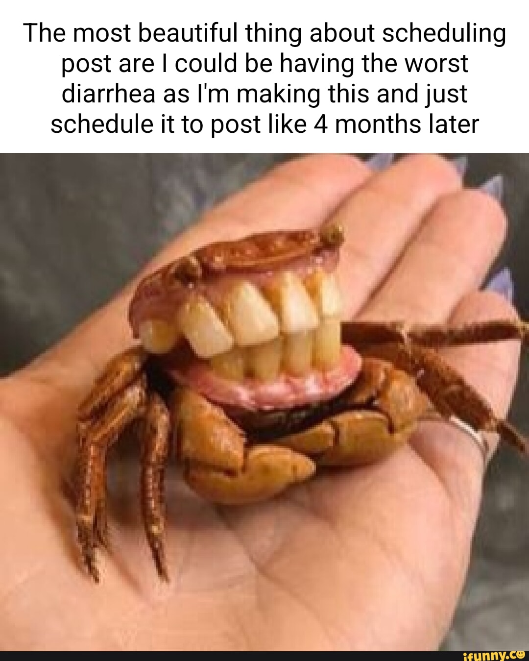 Scheduling memes. Best Collection of funny Scheduling pictures on iFunny