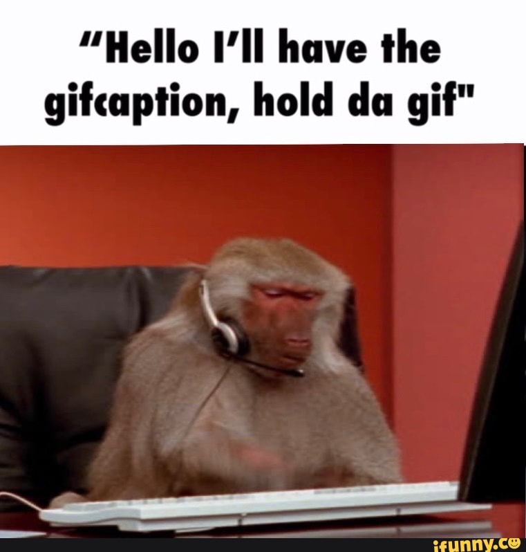 "Hello I'll have the gifcaption, hold da gif" - iFunny