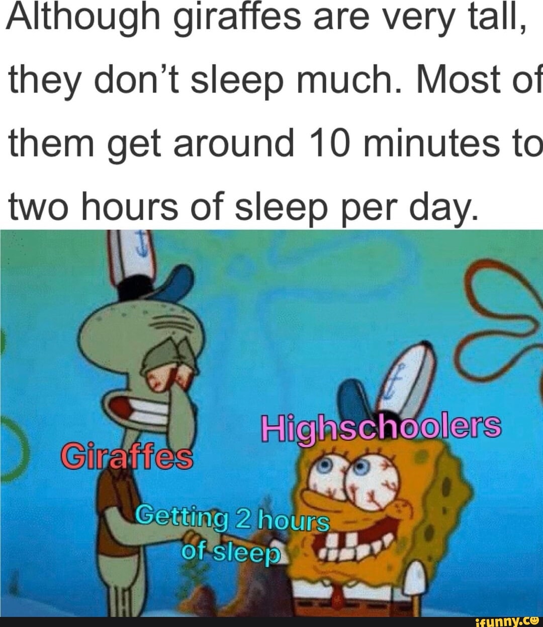 Evolution of wojak - iFunny