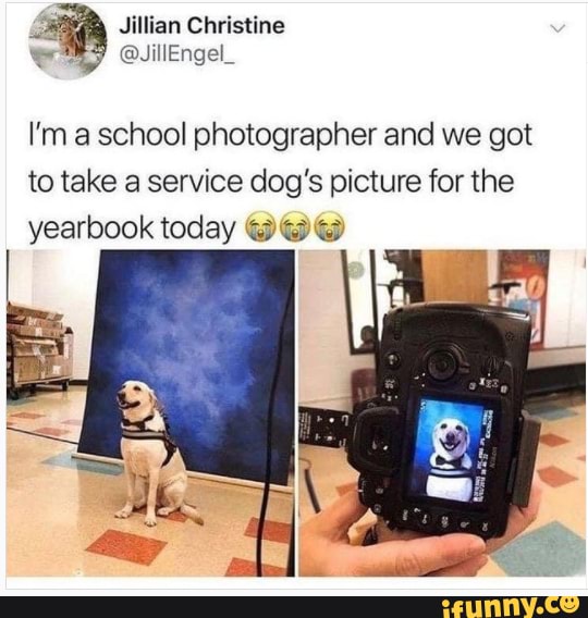 Photographer memes. Best Collection of funny Photographer pictures on ...