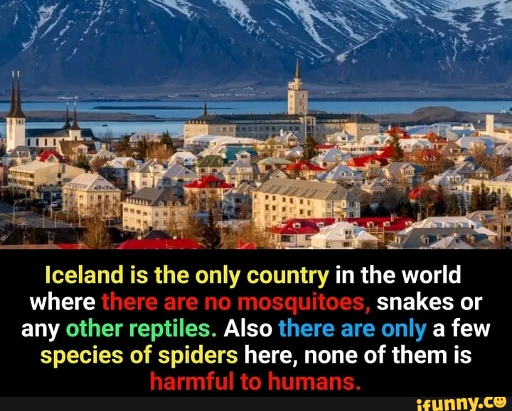 Iceland is the only country in the world where there are no mosquitoes ...