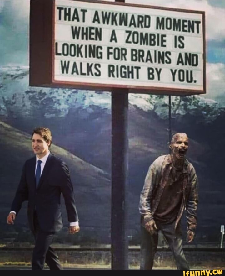 THAT AWKWARD MOMENT WHEN A ZOMBIE IS LOOKING FOR BRAINS AND WALKS RIGHT ...