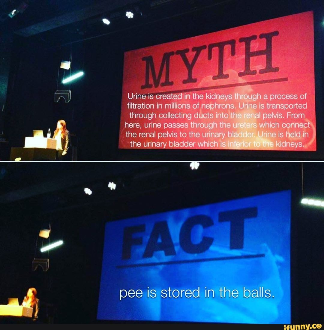 Nephrons memes. Best Collection of funny Nephrons pictures on iFunny