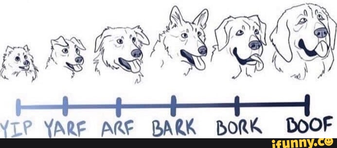 Bork memes. Best Collection of funny Bork pictures on iFunny