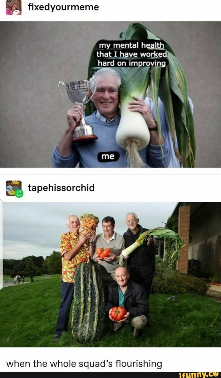 Fixedyourmeme memes. Best Collection of funny Fixedyourmeme pictures on ...