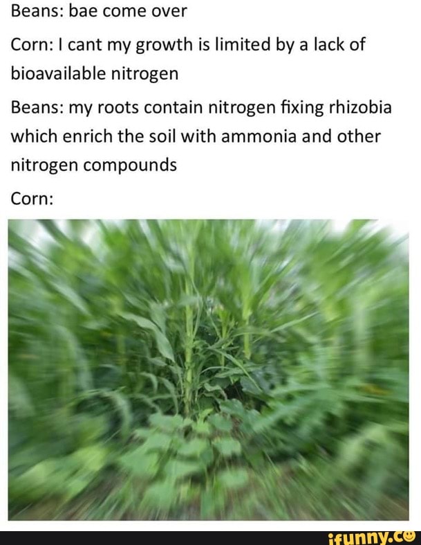 Growth memes. Best Collection of funny Growth pictures on iFunny