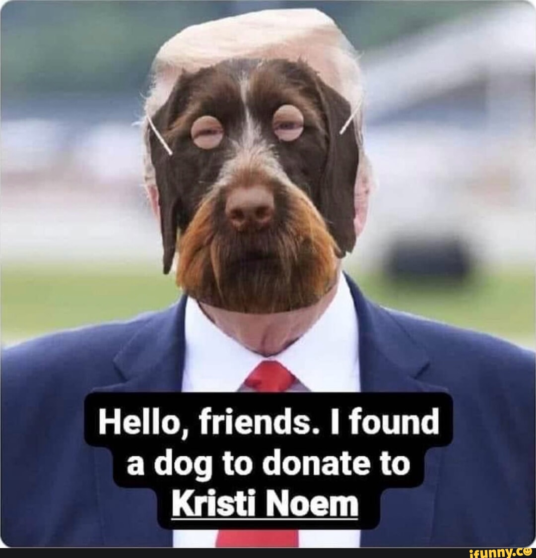 Noem memes. Best Collection of funny Noem pictures on iFunny