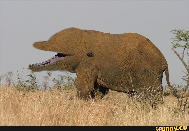 Mysql memes. Best Collection of funny Mysql pictures on iFunny