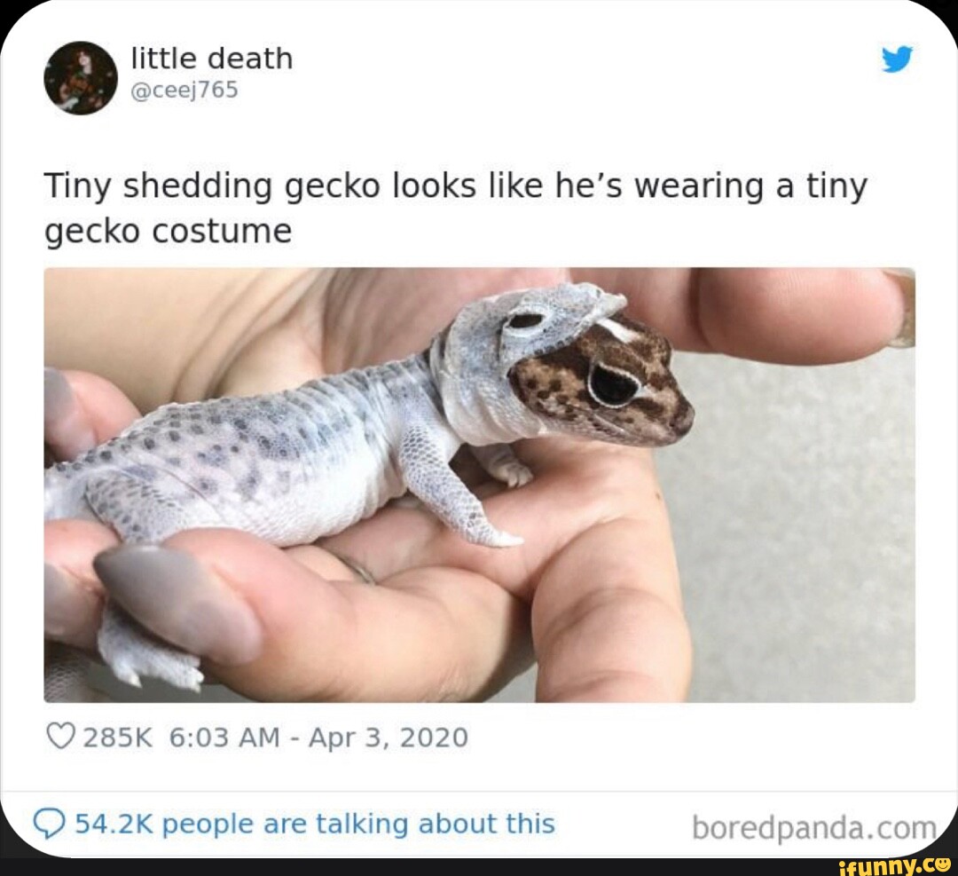 "Terry? That's a GIRLS name!" - iFunny