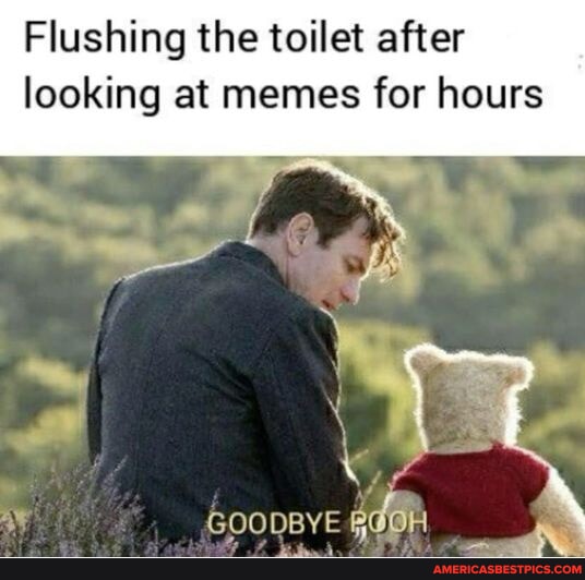 Flushing the toilet after looking at memes for hours GOODBYE - America ...